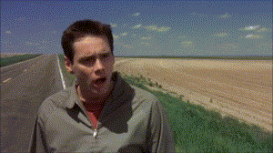 Dumb and Dumber GIFs | PS Entertainment