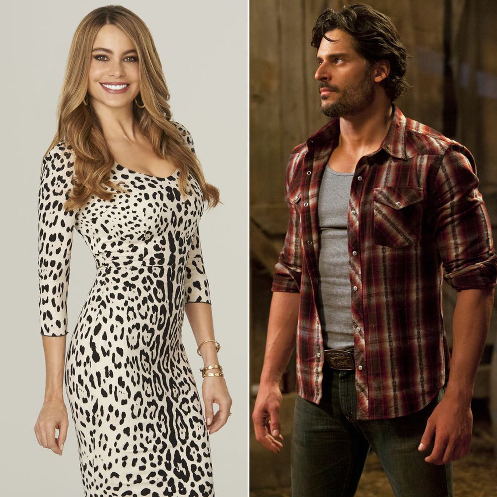 TV Characters Who Are Married in Real Life | PS Entertainment