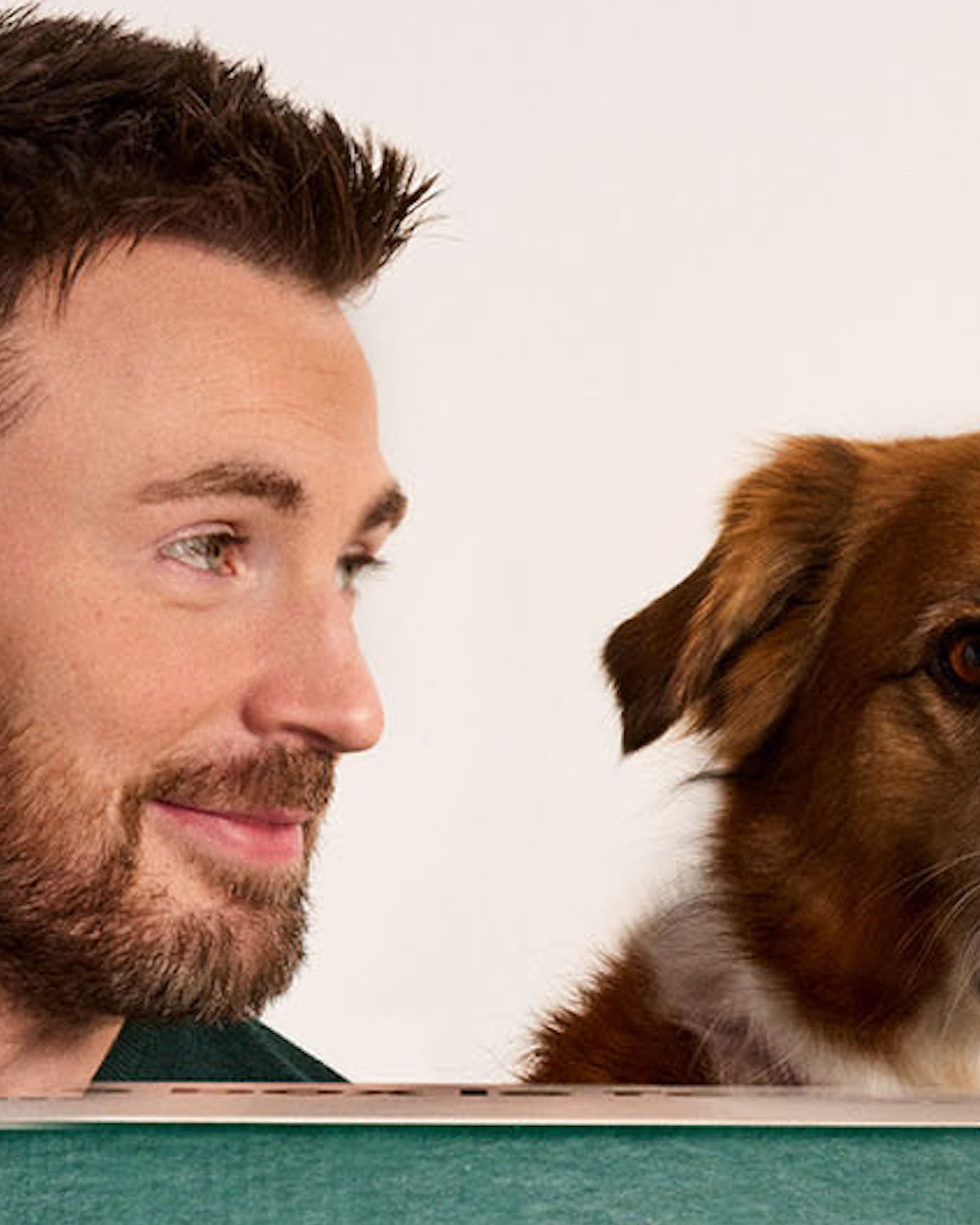 Chris Evans Says His Dog, Dodger, Is Possessive | POPSUGAR Celebrity