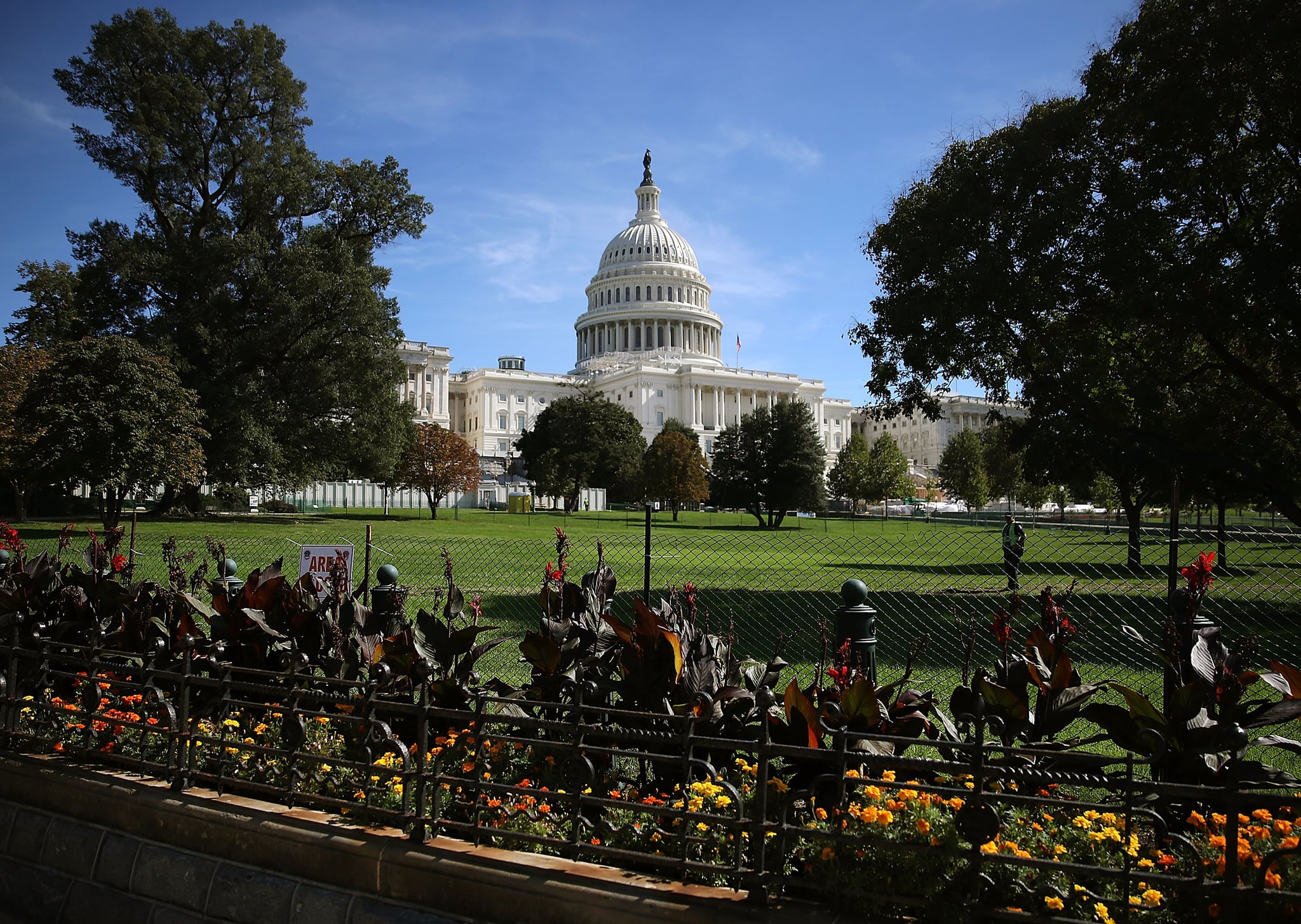 Will the Democrats Win the Senate and House? Election 2016 | POPSUGAR News