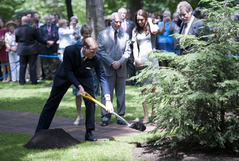 Kate Middleton Planting Trees | Pictures | PS Celebrity