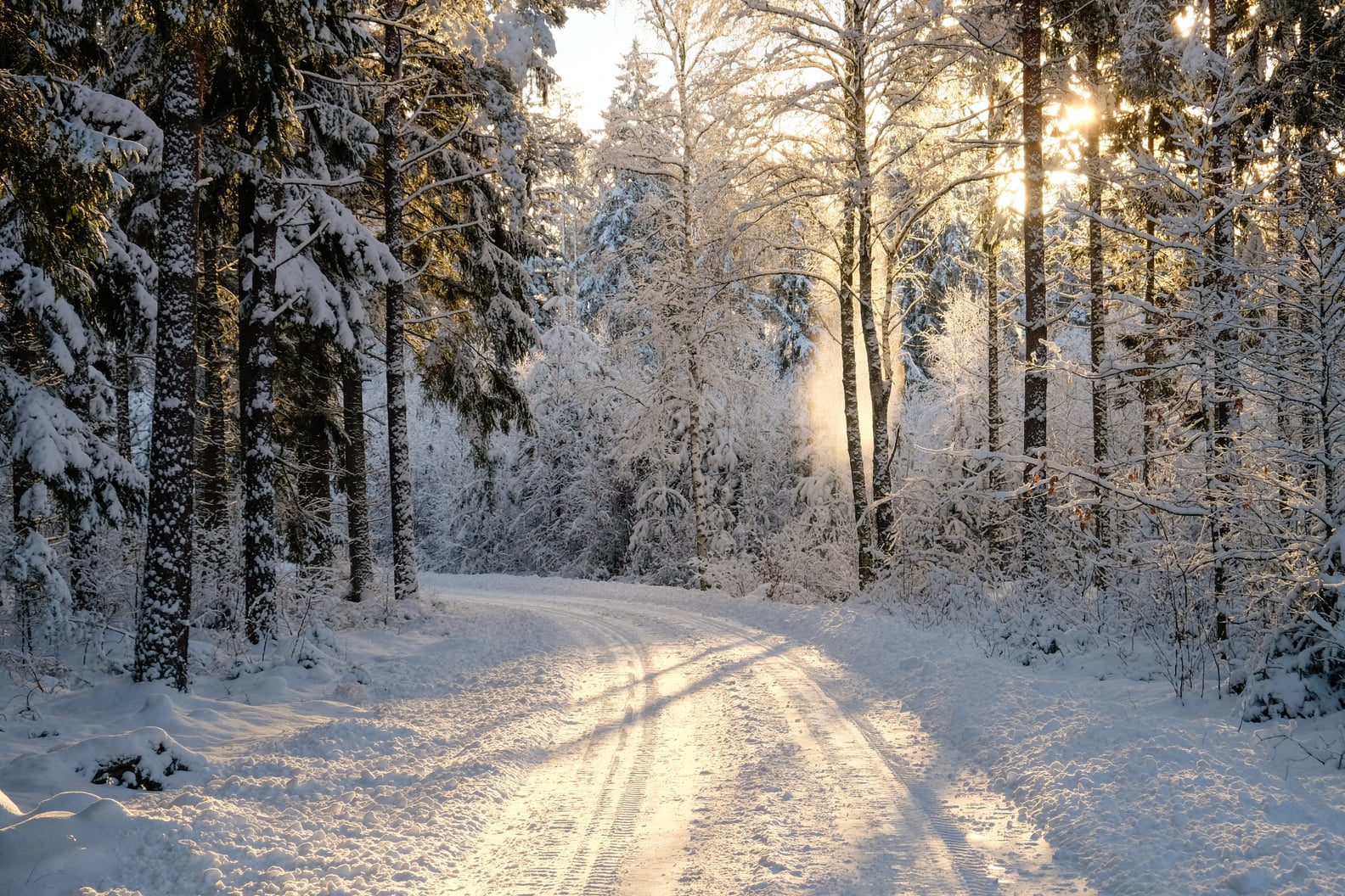 15+ Beautiful Photos of Winter | PS Smart Living