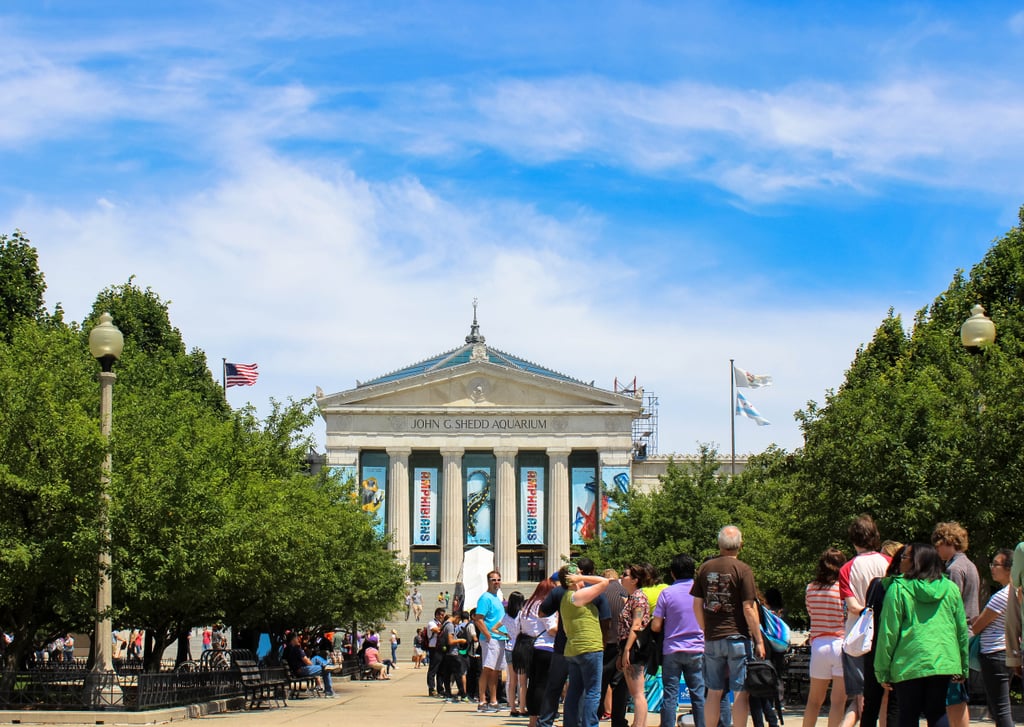 Chicago Travel Tips | POPSUGAR Smart Living