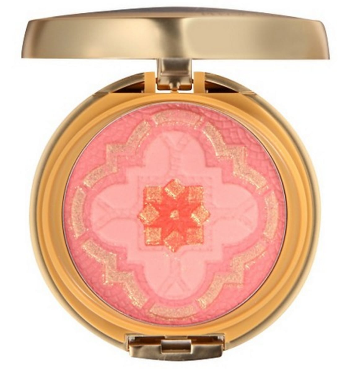 Best Brushes in Compact Blushes | PS Beauty