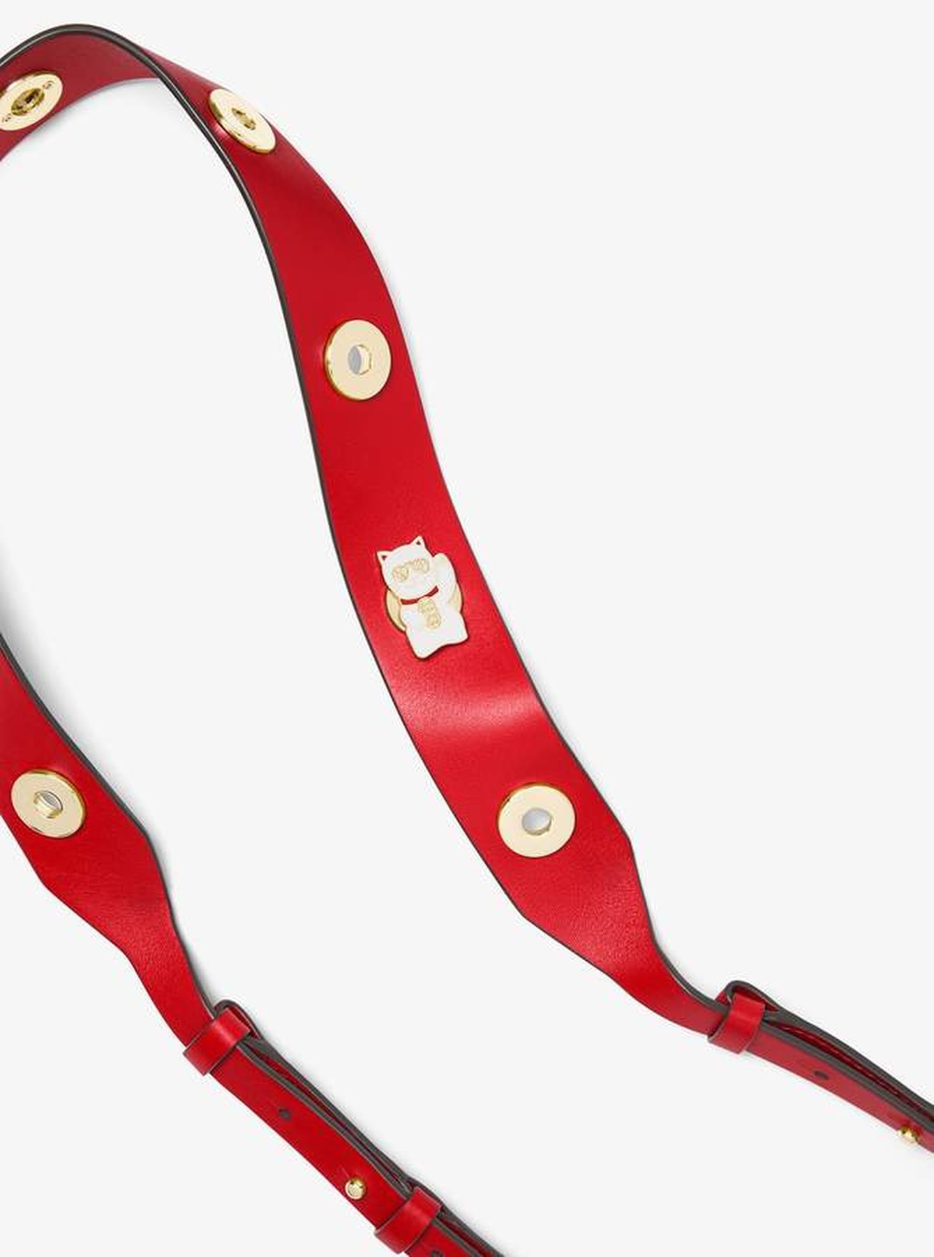 Angelina Jolie Red Bag Strap | PS Fashion