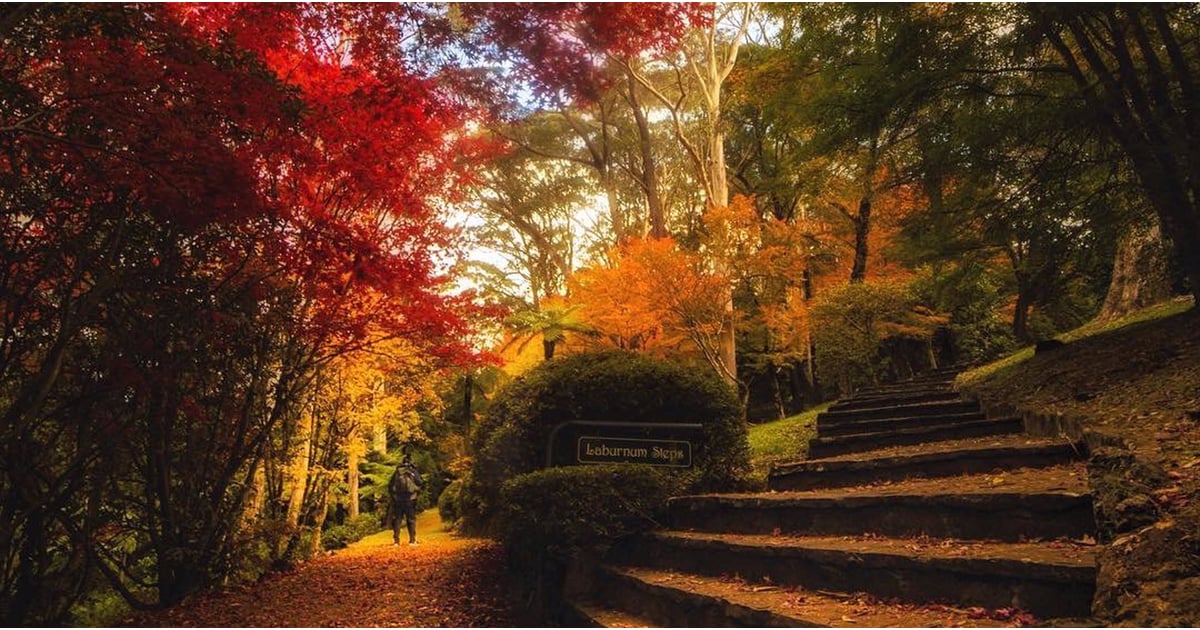 Australia's Breenhold Gardens in the Fall | POPSUGAR Smart Living