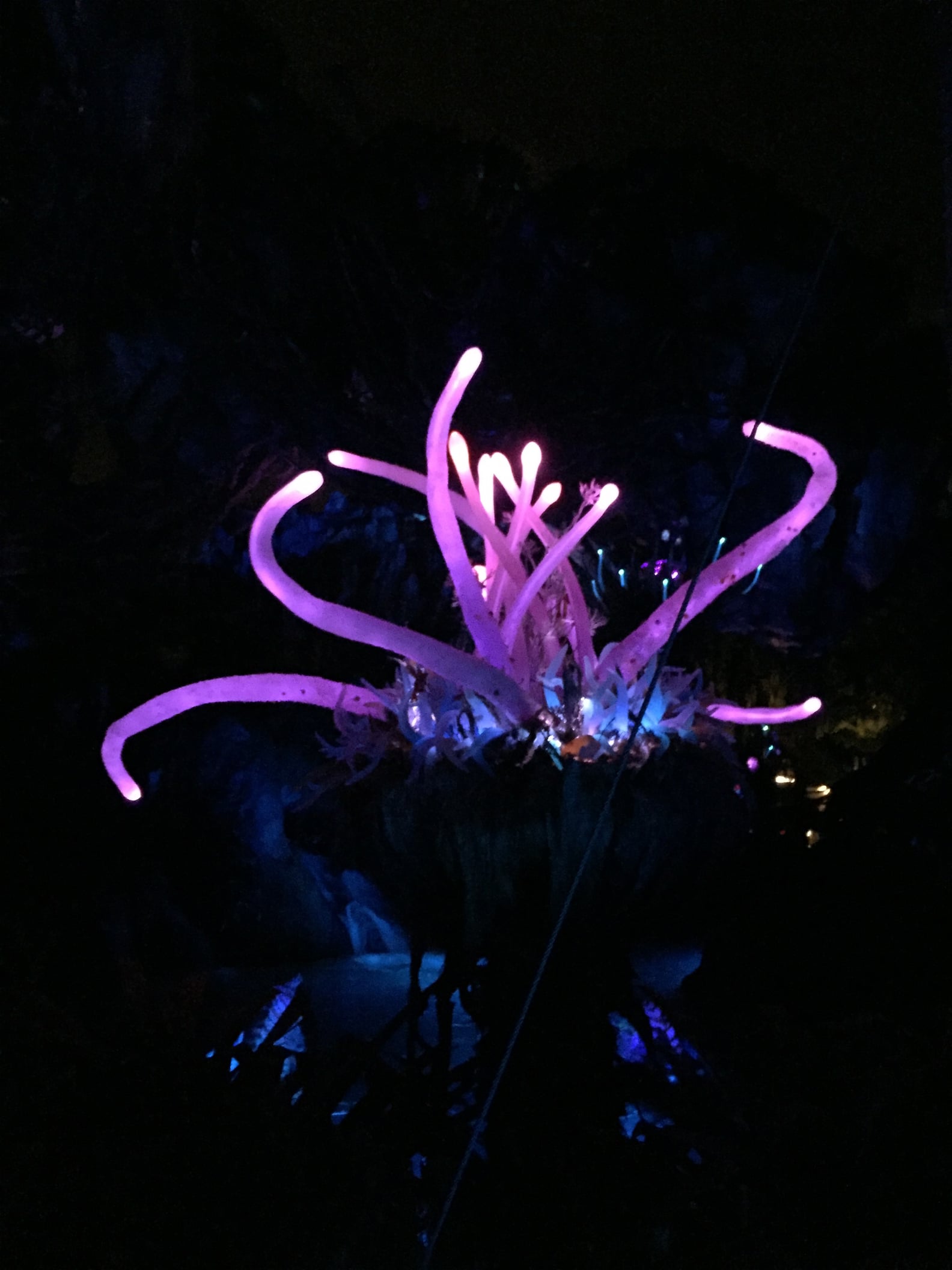 Pandora World of Avatar at Night | PS Smart Living