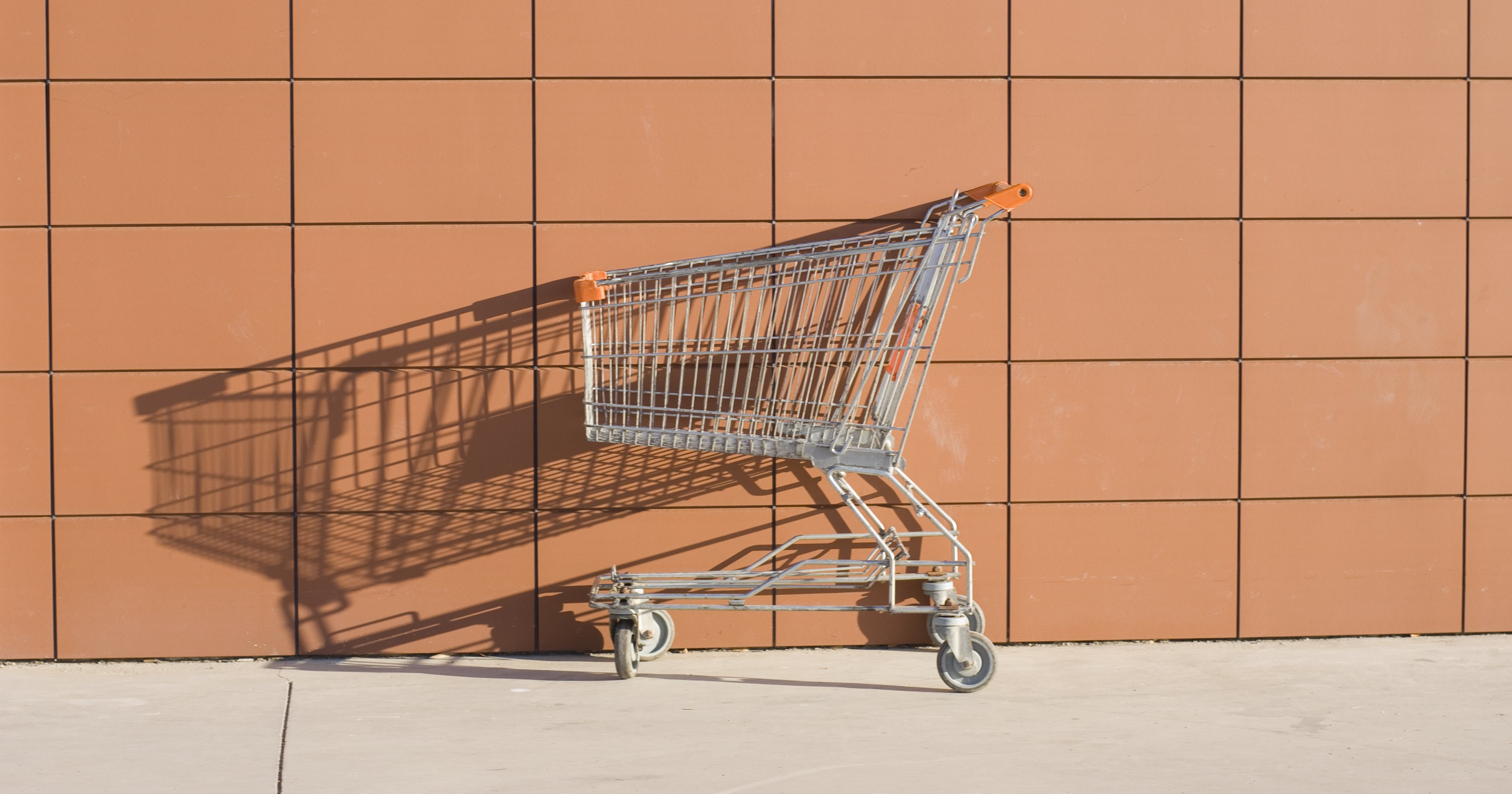 Shopping Cart Theory: Experts Explain What to Know | PS Balance