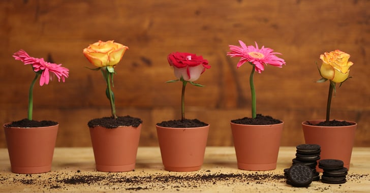 Flower-Pot Dessert | POPSUGAR Food