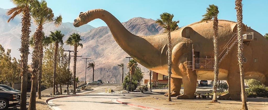 Dinosaurs | POPSUGAR Entertainment