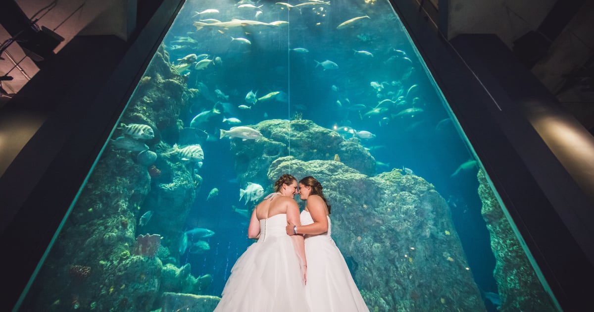 Aquarium Wedding Ideas | POPSUGAR Love & Sex