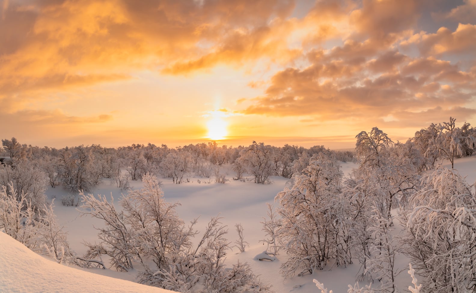 15+ Beautiful Photos of Winter | PS Smart Living