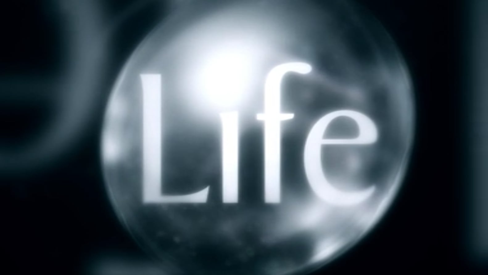 Science Shows to Watch on Netflix | PS Tech