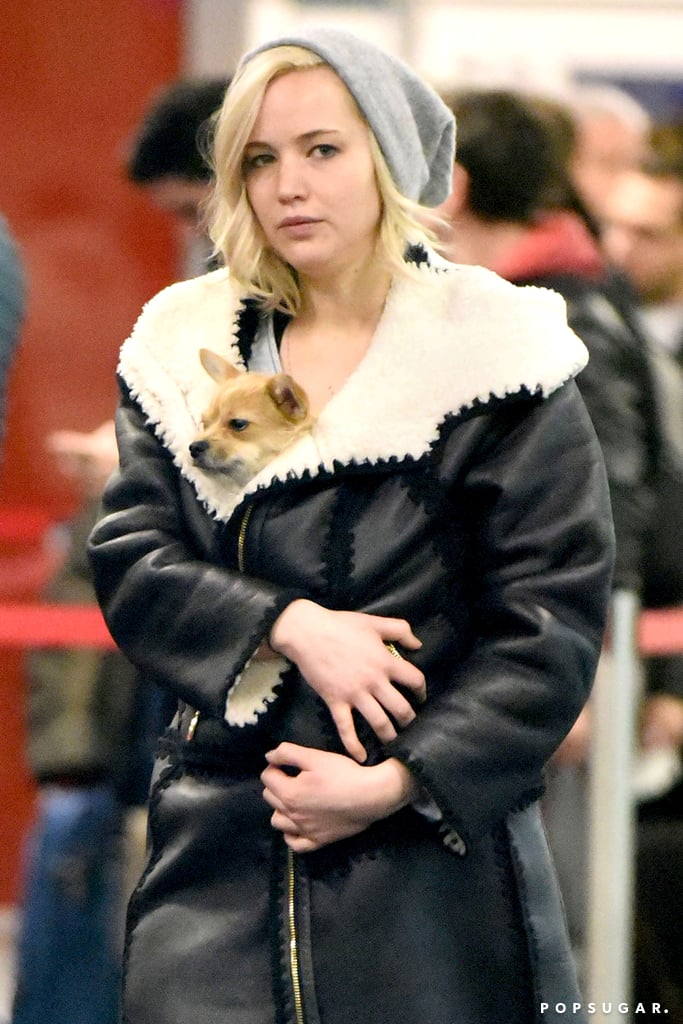 Jennifer Lawrence With Her Dog at JFK Airport | POPSUGAR Celebrity