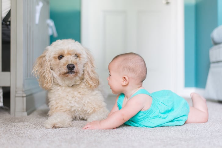 Cute Photos of Kids and Dogs | POPSUGAR UK Parenting Photo 6