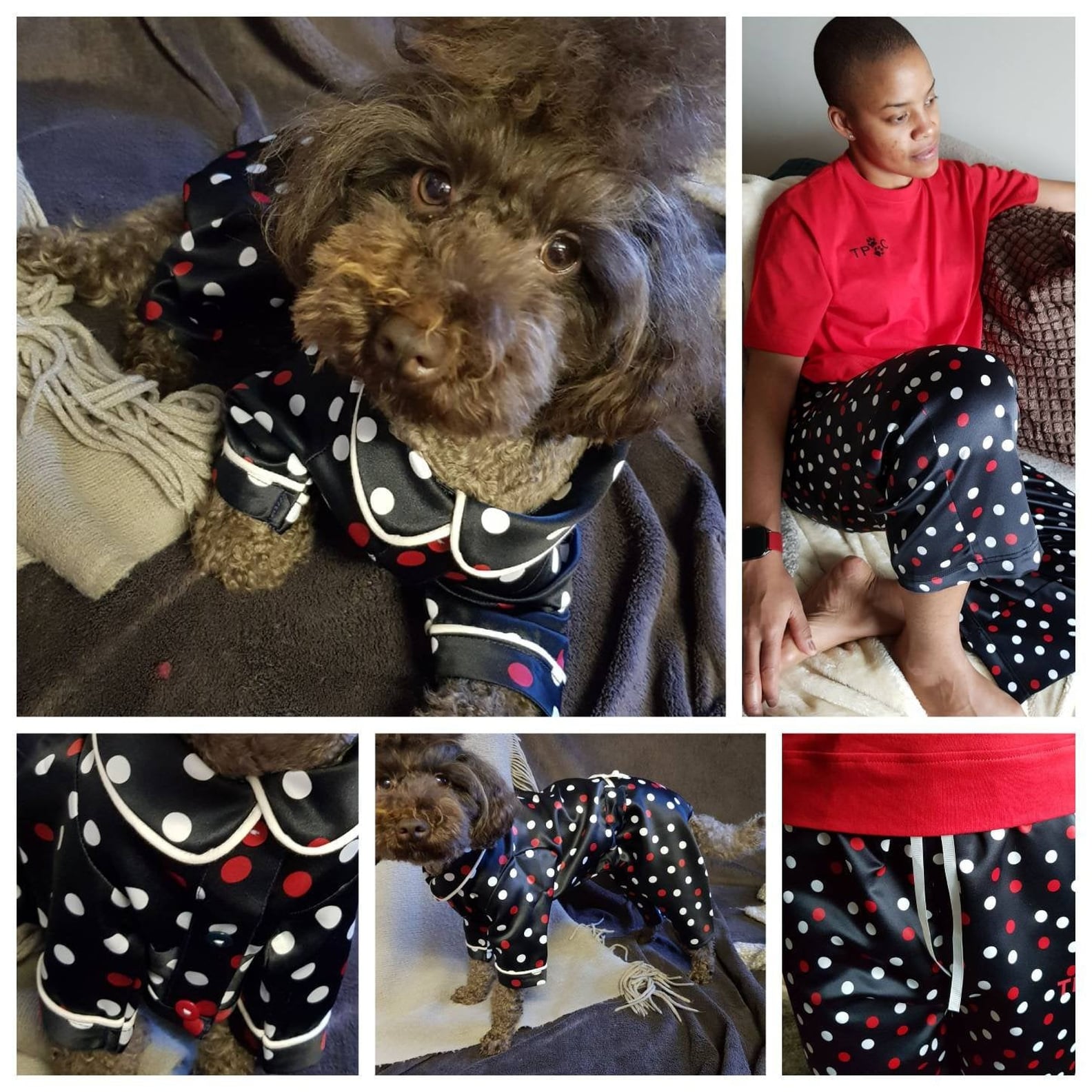 Matching Silk Dog and Human Pajamas | PS Family
