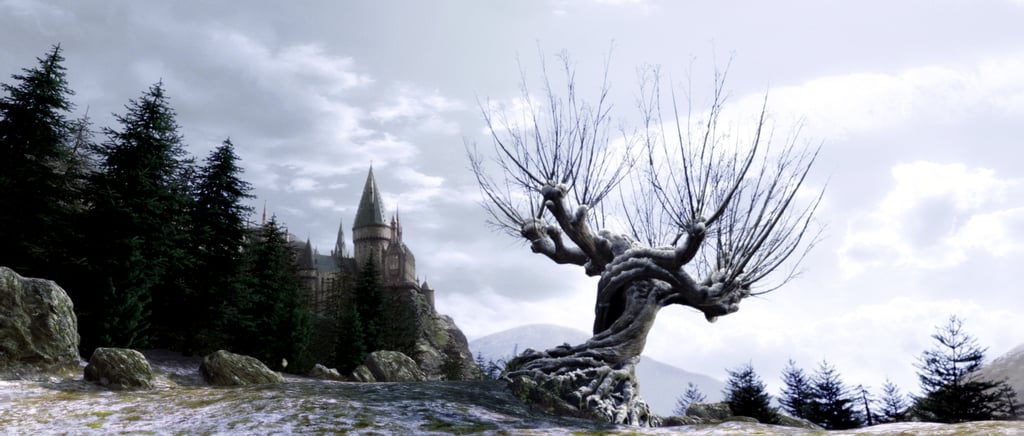 Ultimate Harry Potter Trivia Quiz | POPSUGAR Entertainment