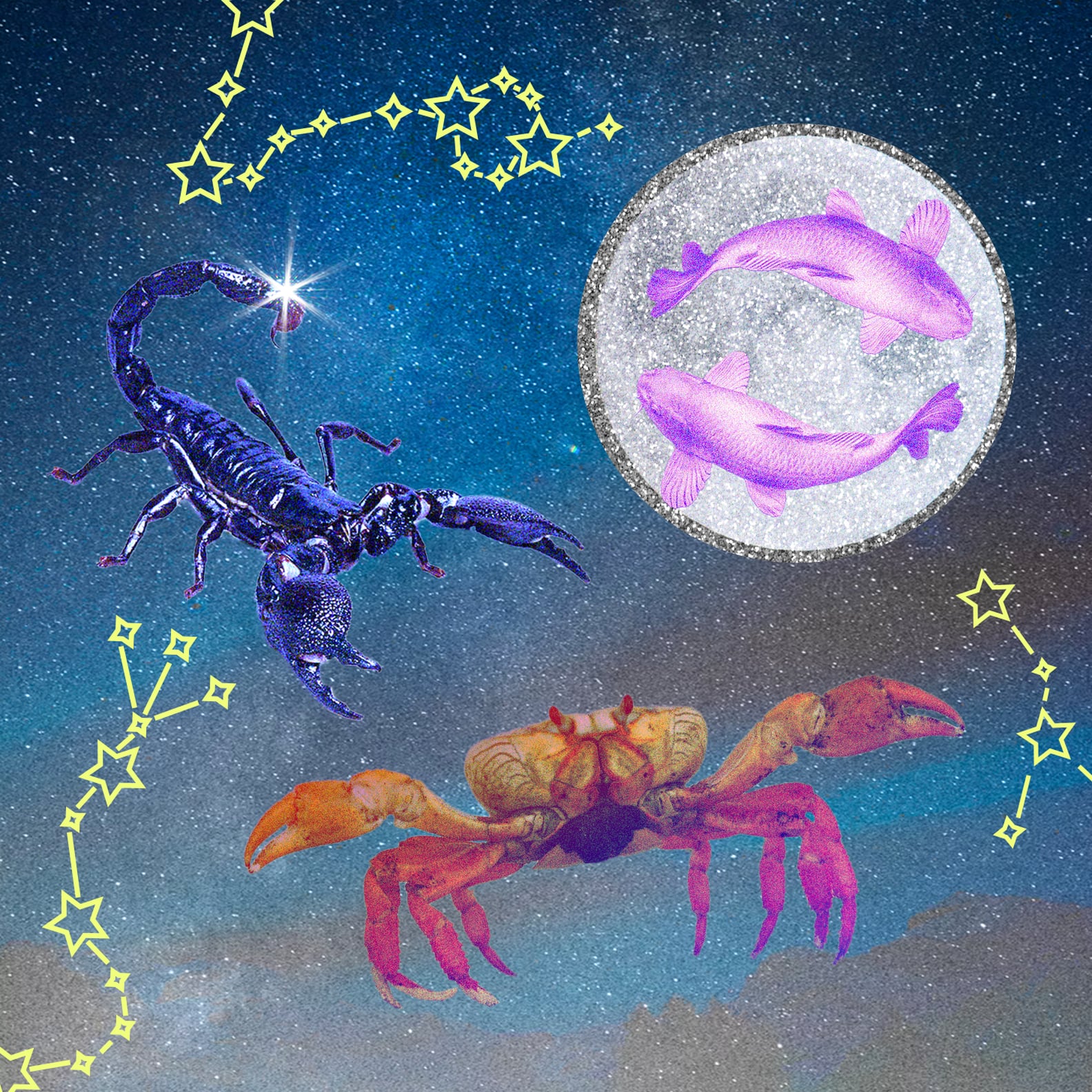 Weekly Horoscope For March 5, 2023, For Your Zodiac Sign | PS Smart Living