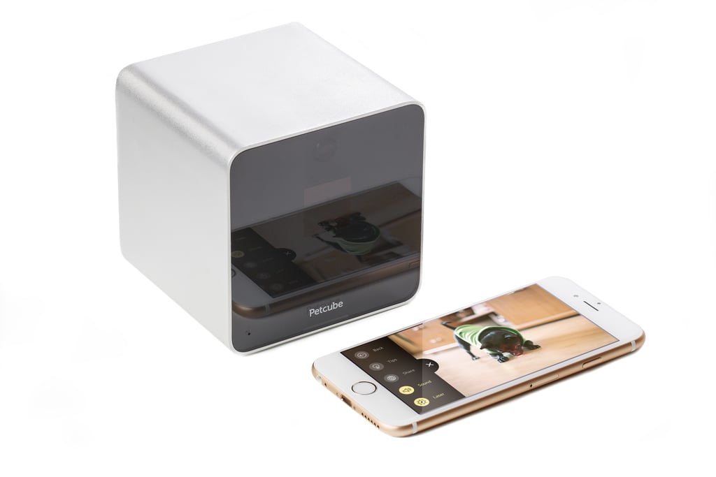 Pet Trackers | POPSUGAR Tech