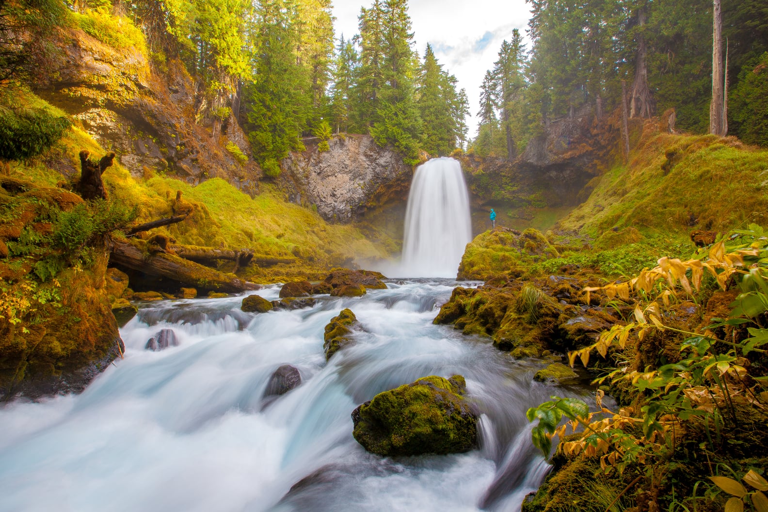 Pictures of Nature in the Fall | PS Smart Living