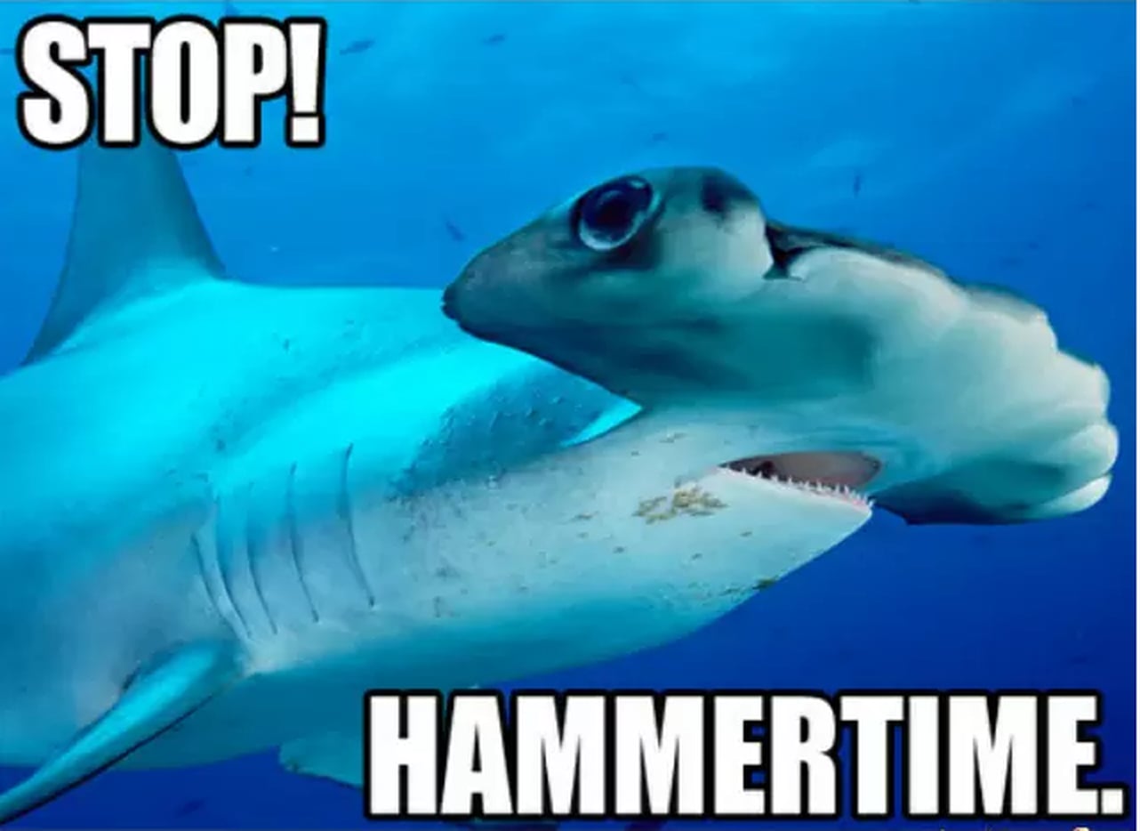 Best Shark Memes | PS Tech
