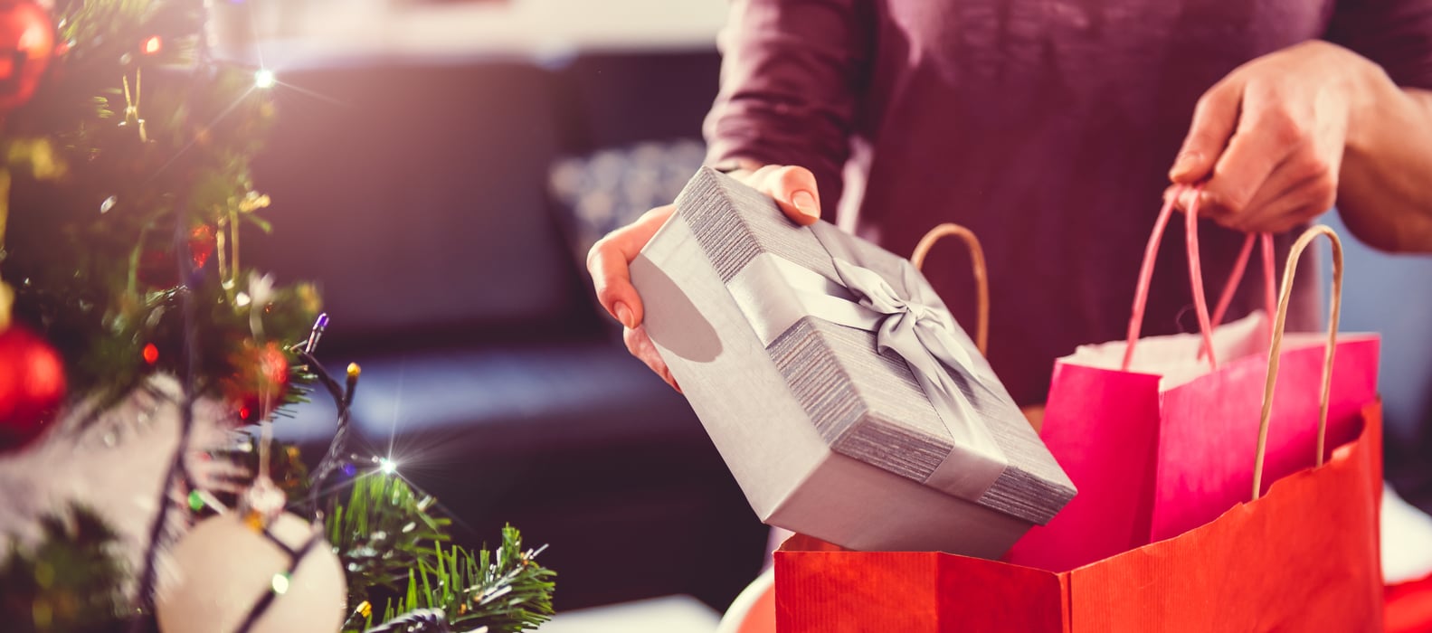 Multitasking Holiday Gift Ideas | PS Smart Living