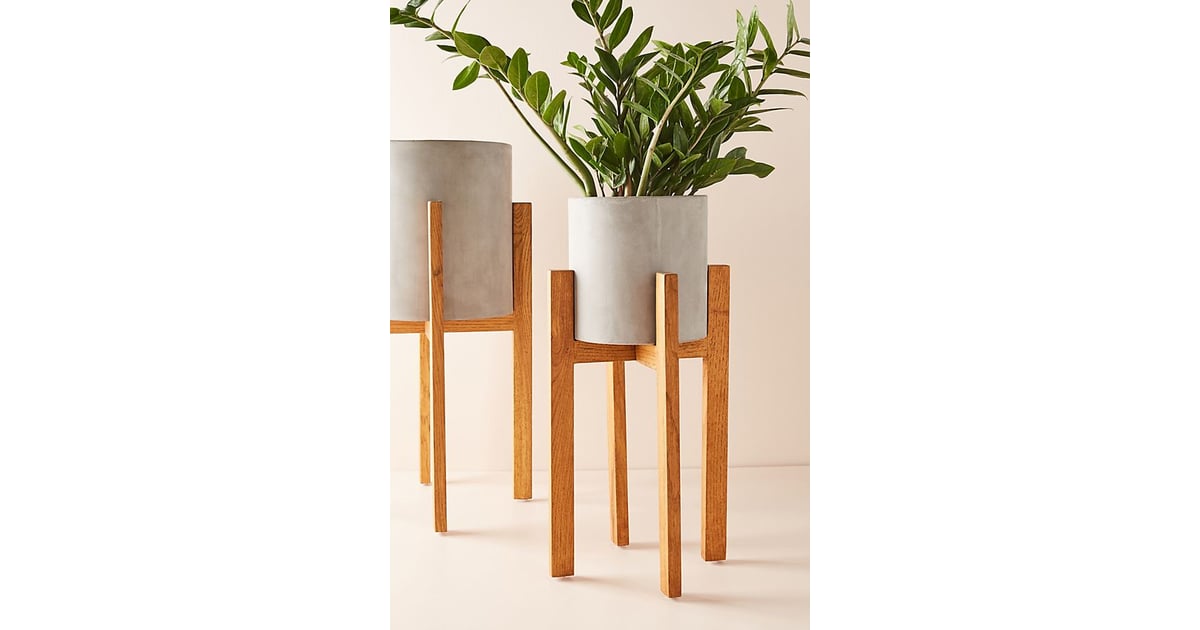 Cement Plant Stands | Anthropologie Outdoor Summer Collection 2019 ...
