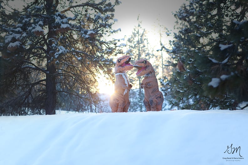 T-Rex Engagement Photo Shoot | POPSUGAR Love & Sex