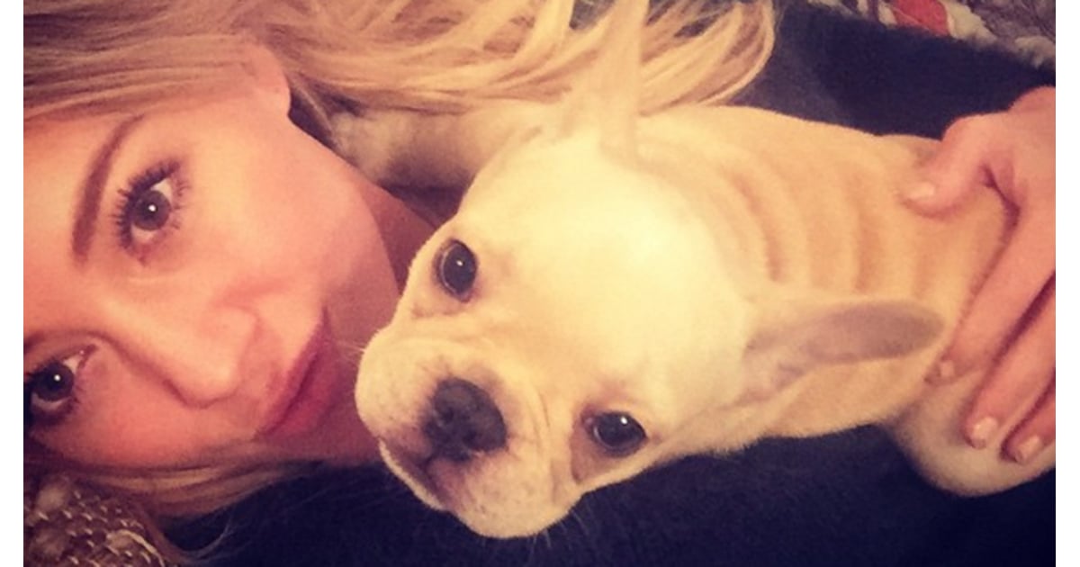 Hilary Duff's Dog Beau Dies | POPSUGAR Celebrity