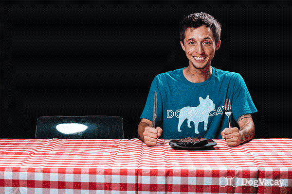 Dogs Doing Harry Potter Spells | PS Pets