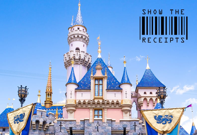 Cost of Being a Disney Adult: See the Receipts | PS Hobbies