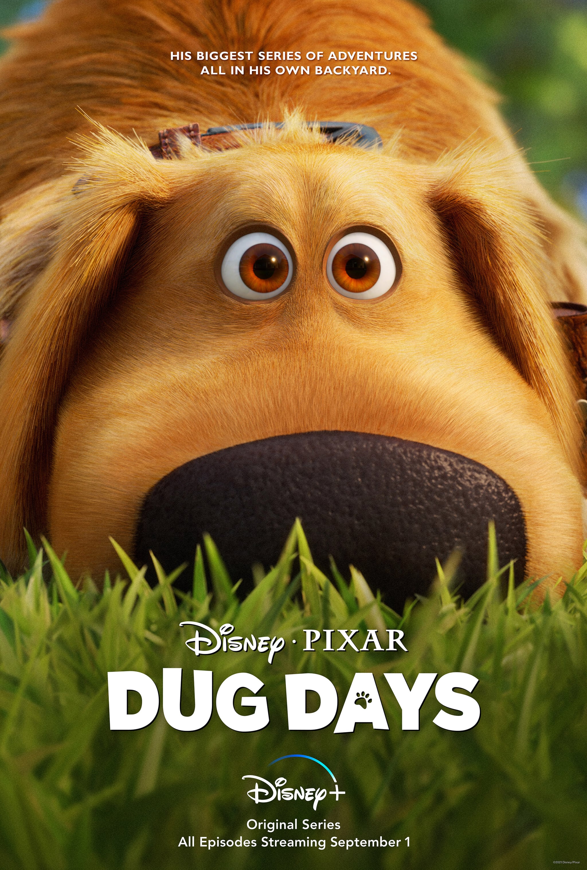 Dug Days Trailer | Pixar Shorts Debuting on Disney+ | POPSUGAR Family