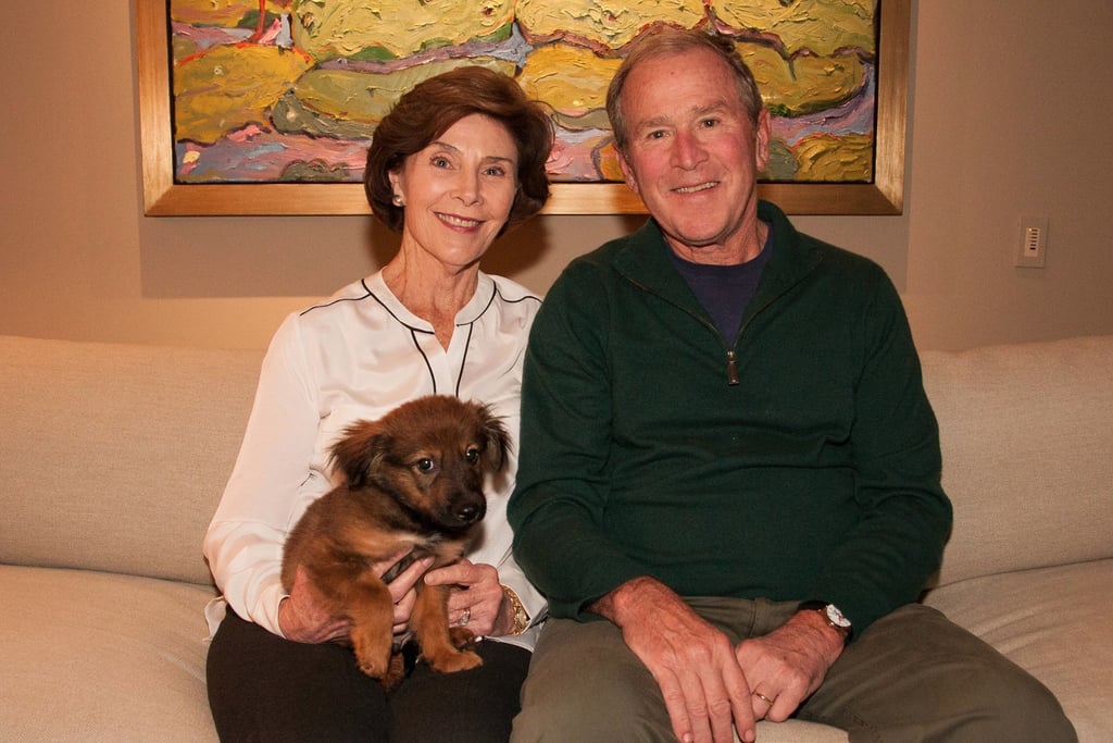 George W. Bush Adopts Puppy | POPSUGAR Pets
