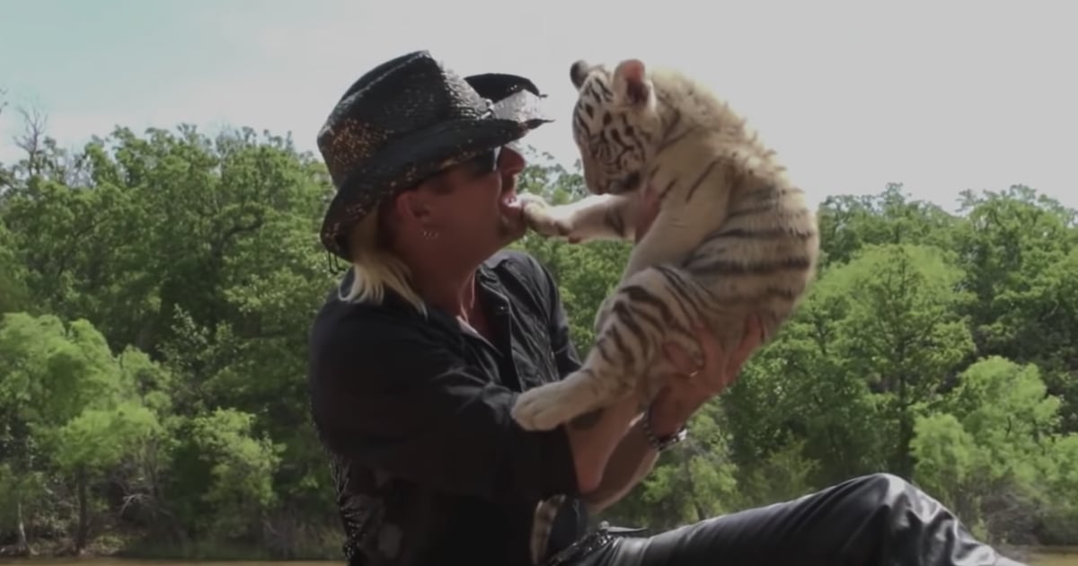 Netflix's Tiger King: Murder, Mayhem and Madness Trailer | POPSUGAR ...