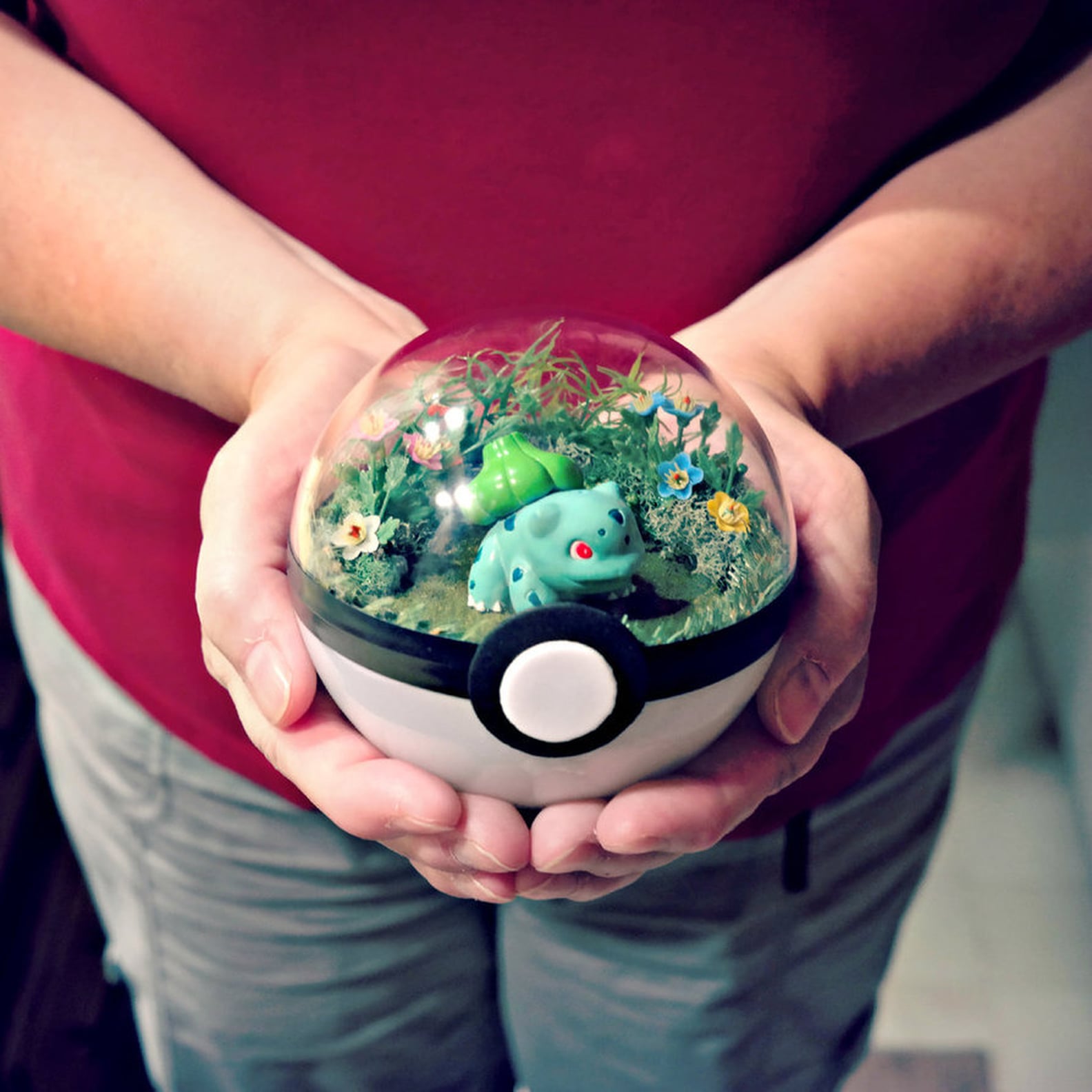 Where Can You Buy Pokemon Terrariums? | PS Tech