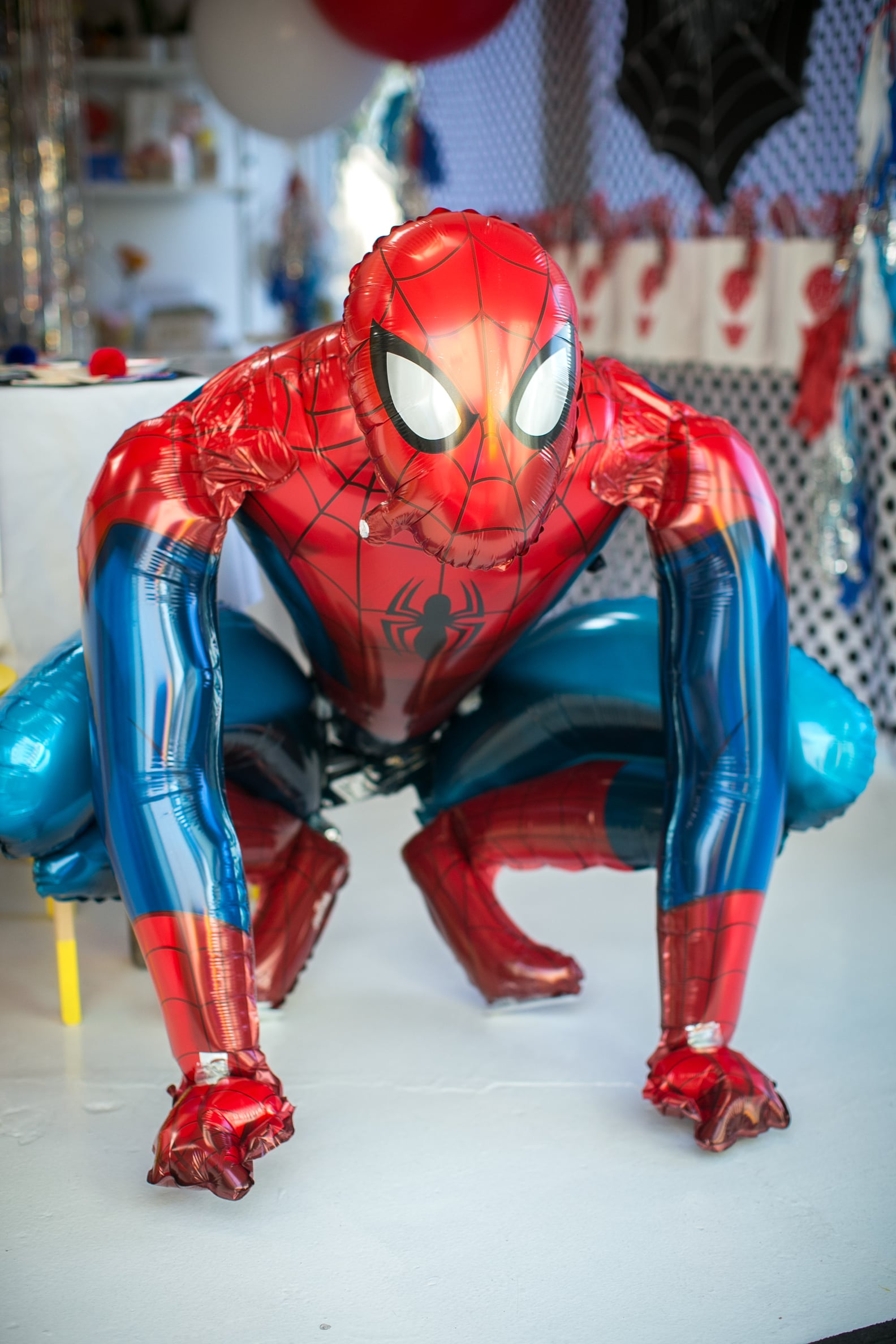 Spider-Man Birthday Party | PS Family