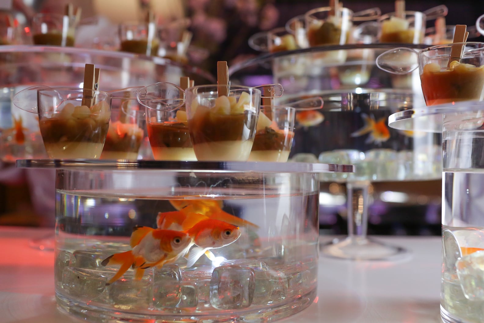 Pebble Beach Food & Wine Festival 2014 | Pictures | POPSUGAR Food