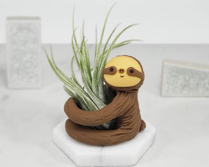 Best Office Desk Plants | POPSUGAR Home UK