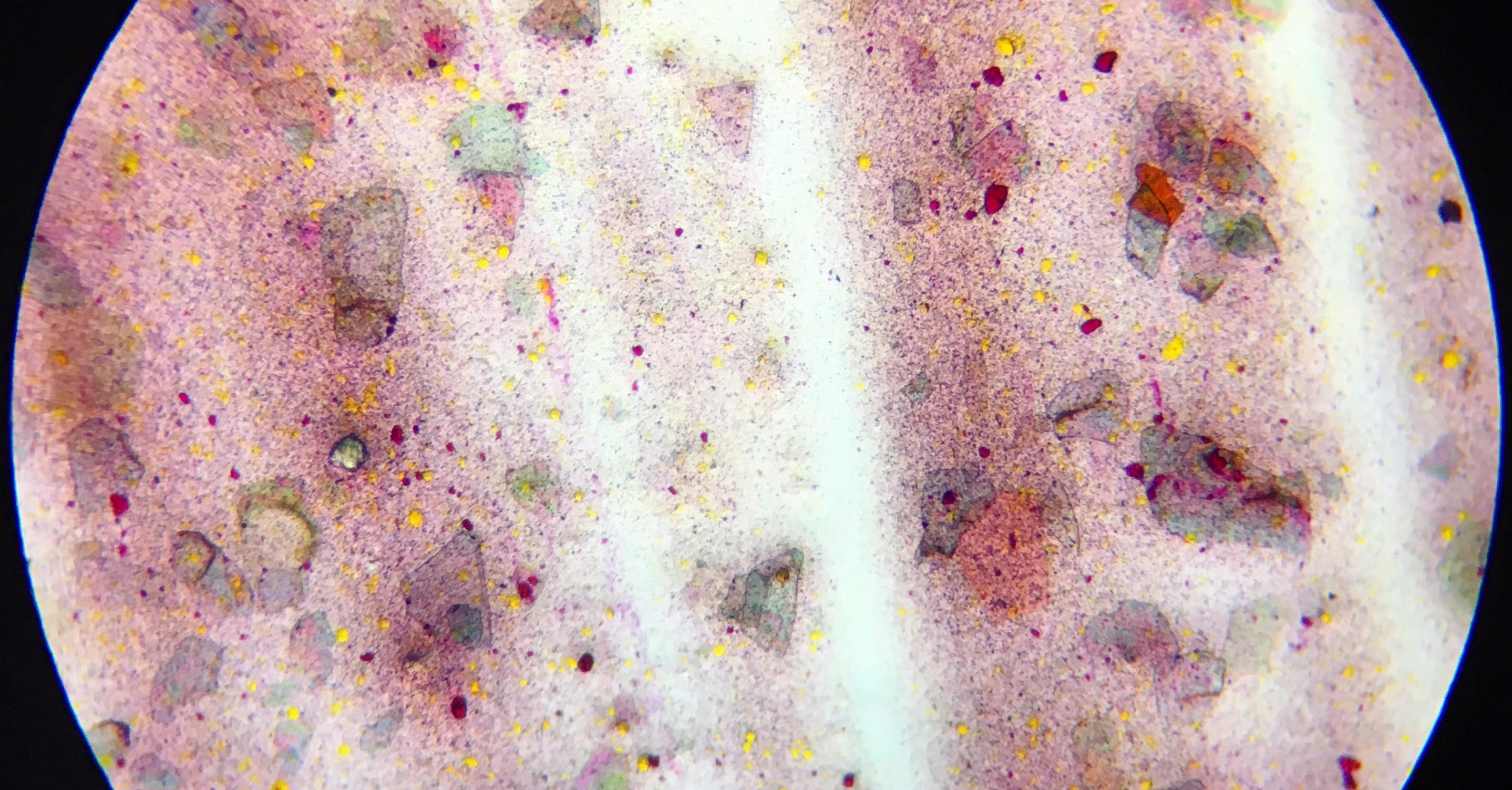 Lipsticks Under a Microscope | PS Beauty