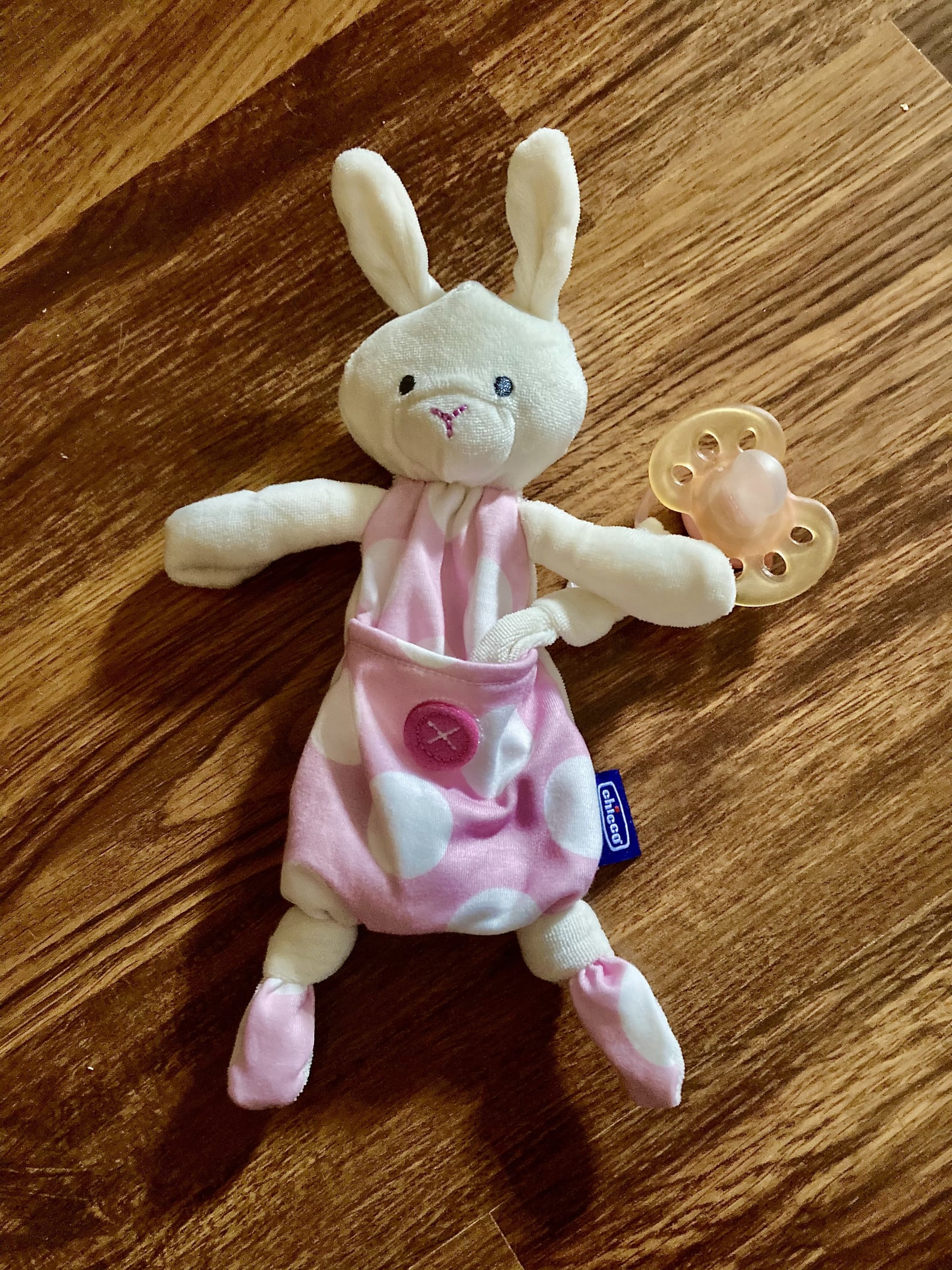 Why My Kids Love the Chicco Pocket Buddies Pacifier Holder | PS Family