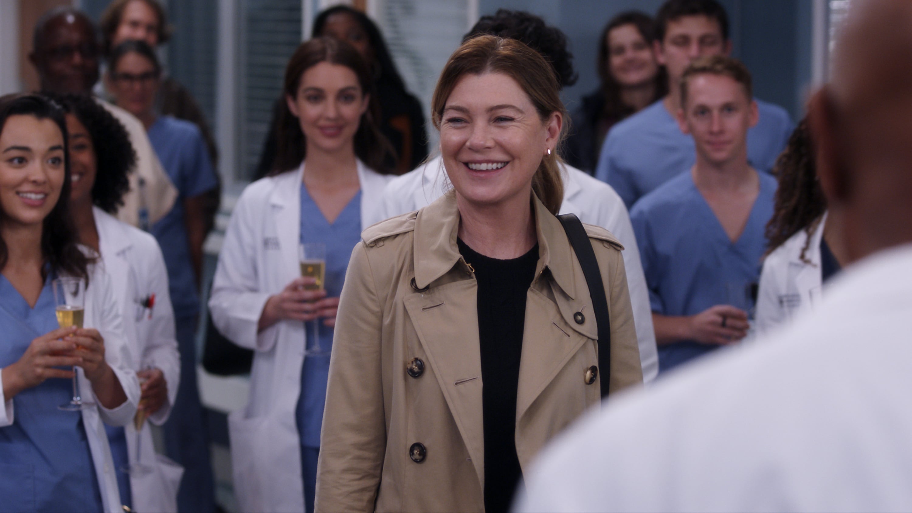 Grey's Anatomy: Meredith Grey Last Episode | POPSUGAR Entertainment