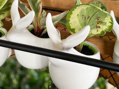 Trader Joes Bunny Planter
