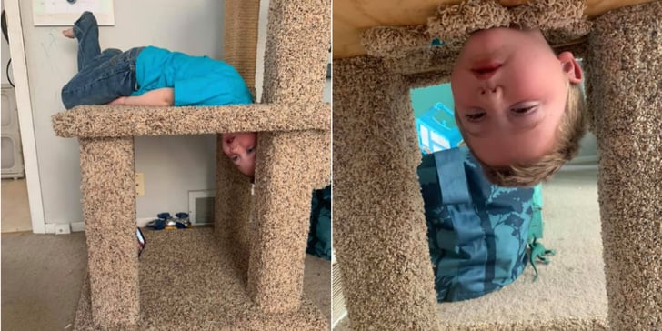 Boy Who Got His Head Stuck in a Cat Tree | Funny Photos | POPSUGAR Family