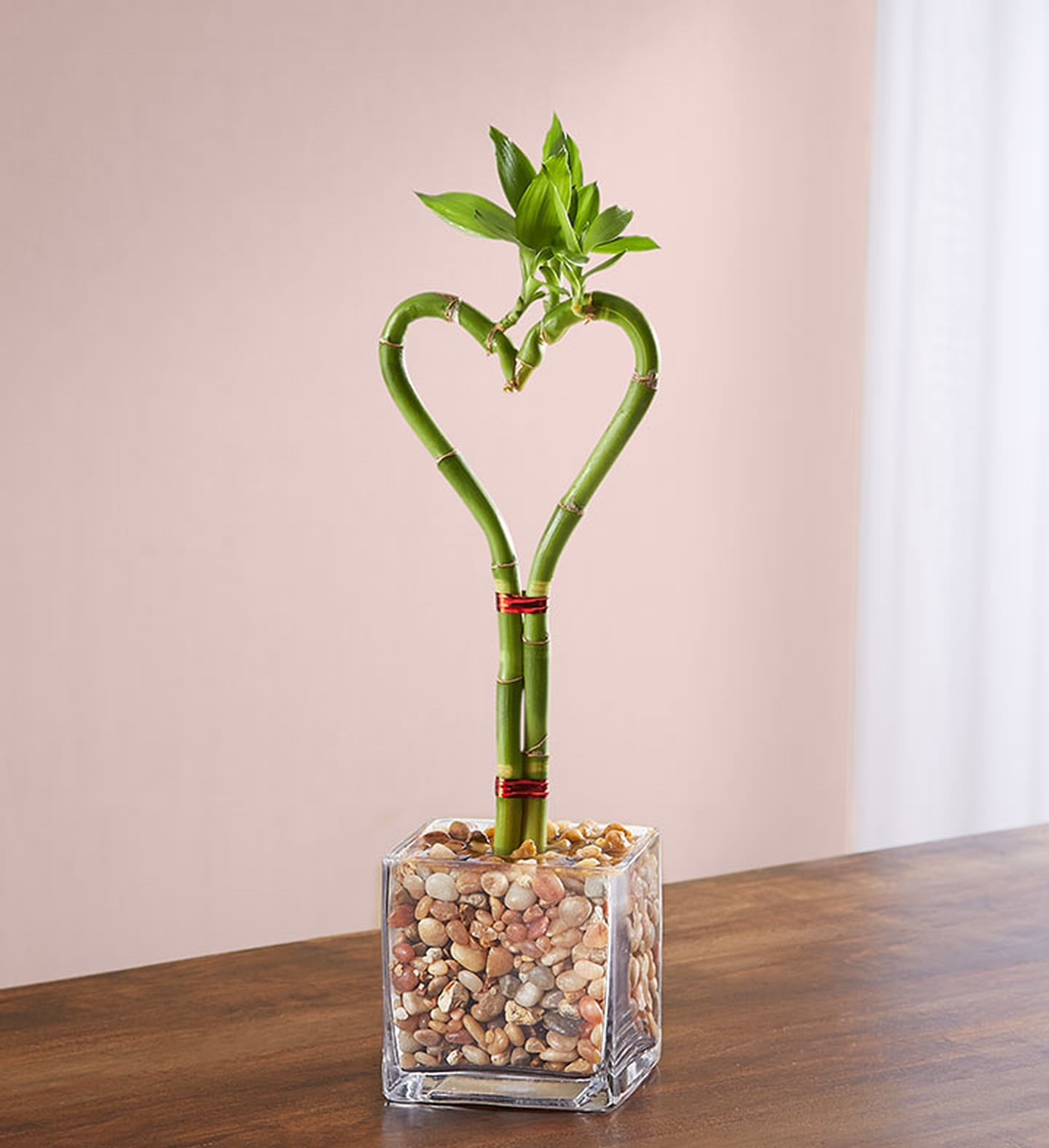 1-800-Flowers Heart-Shaped Bamboo For Valentine's Day | PS Love