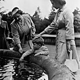 Royal Family Moments From Queen of the World Documentary | POPSUGAR ...