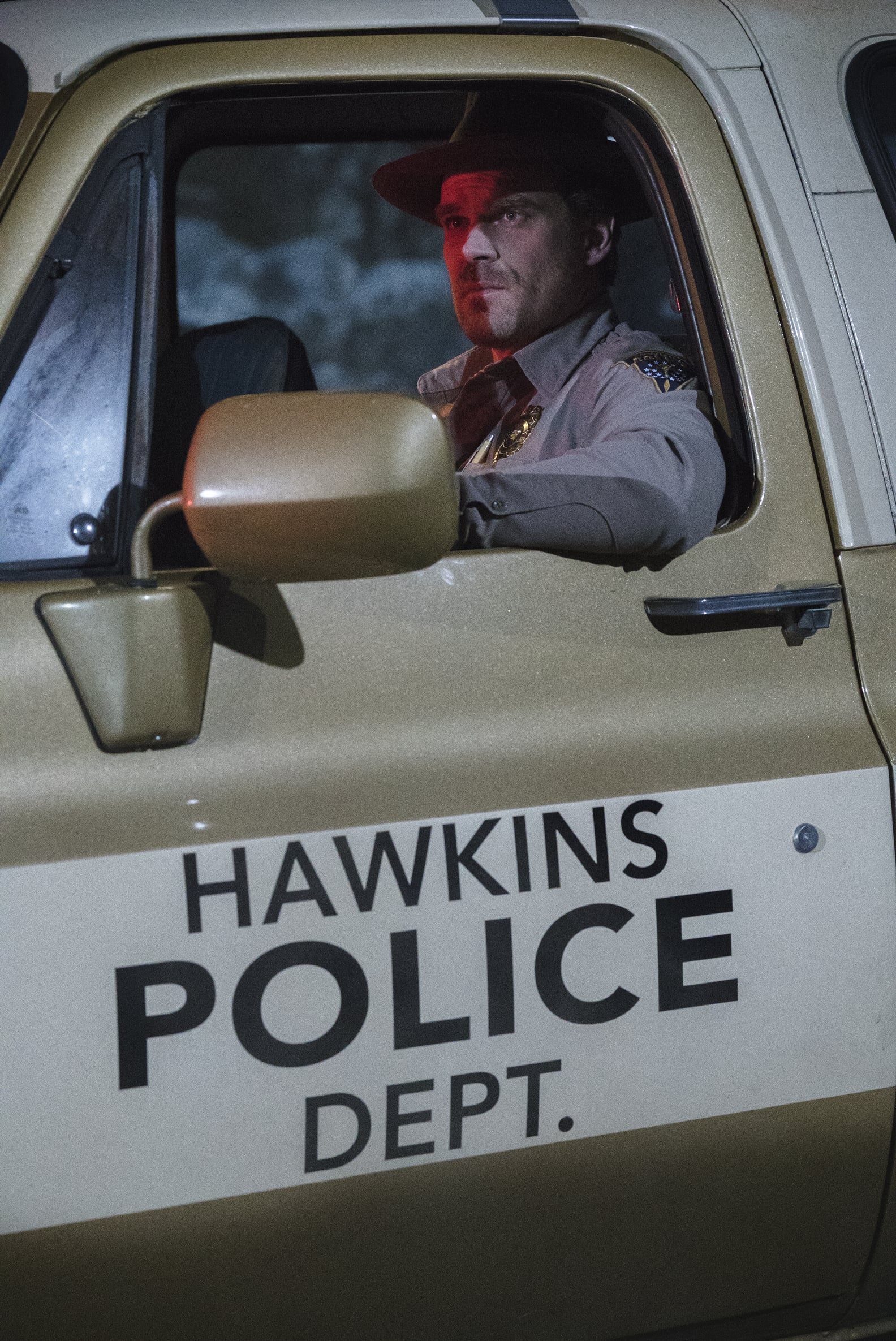 Hot Pictures of Jim Hopper on Stranger Things | PS Entertainment