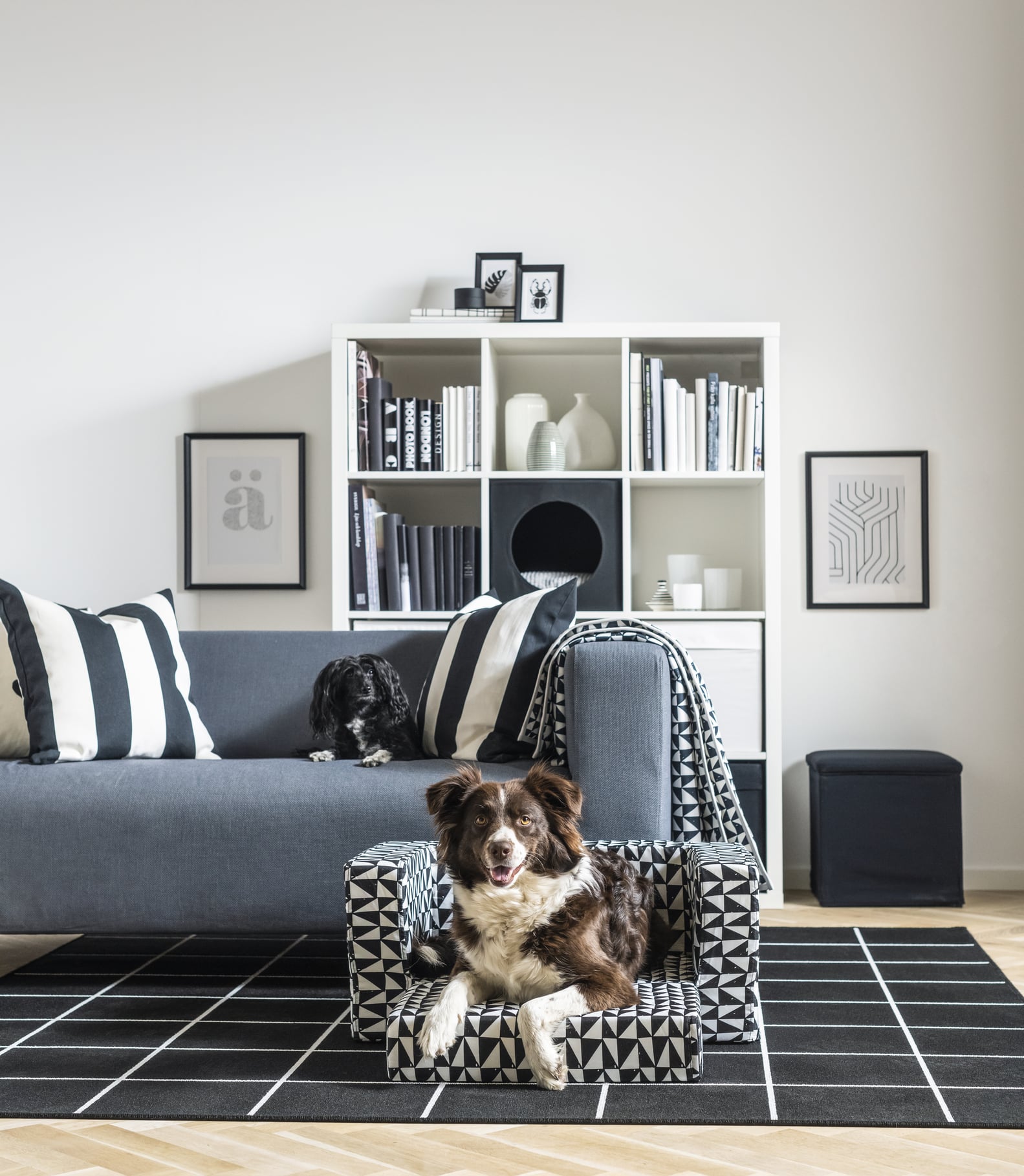 Ikea Launches New 2019 Lurvig Pet Collection | PS Pets