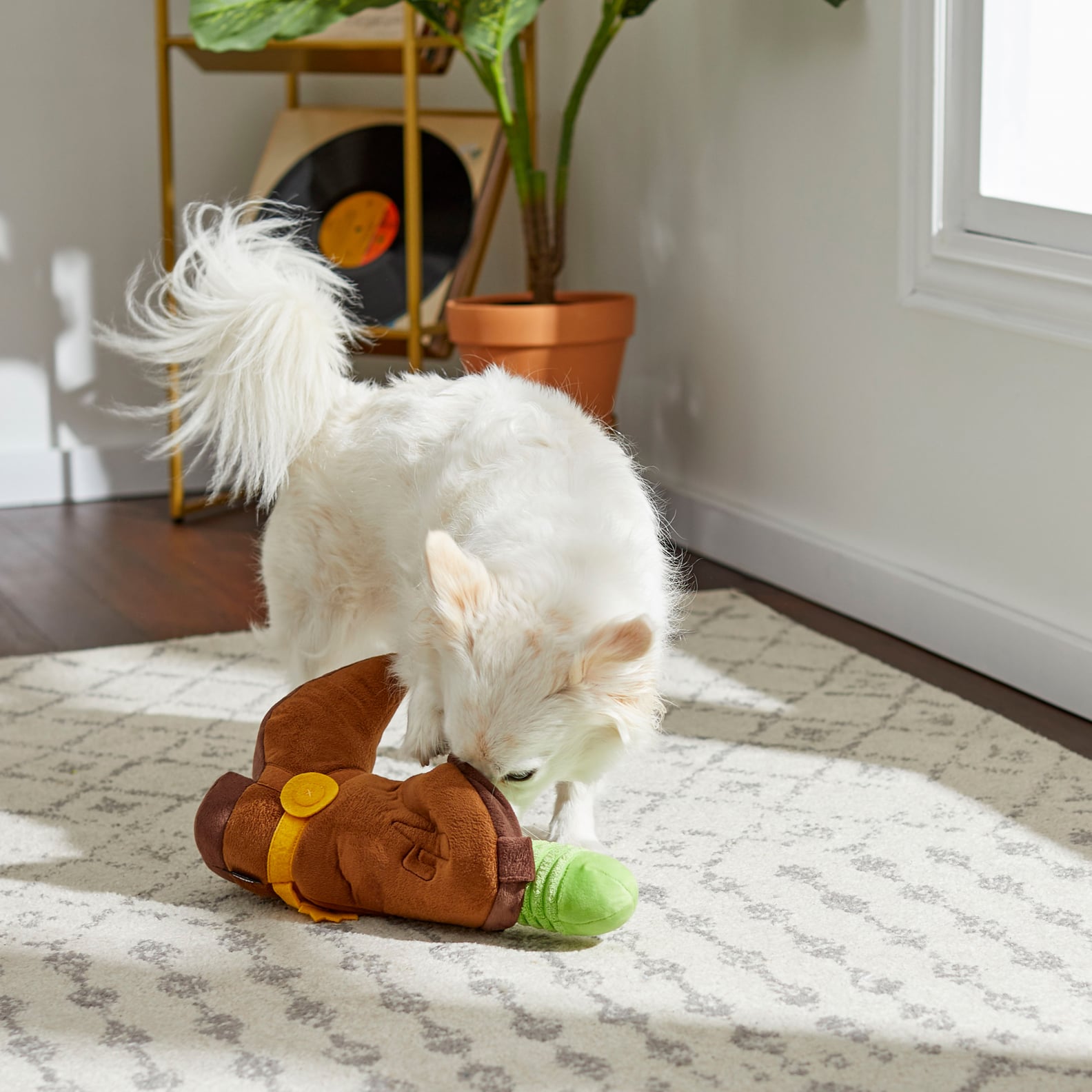 Chewy Disney, Pixar, Marvel, Star Wars Pet Products | PS Pets