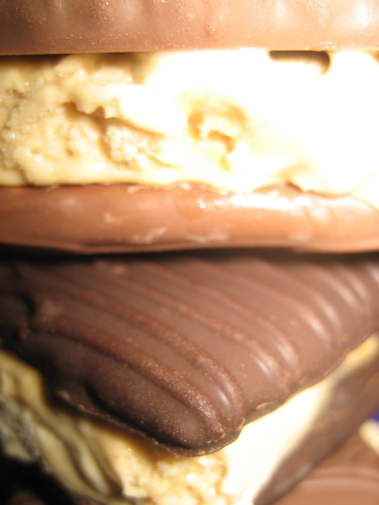 Dulce De Leche Ice Cream & Choco Covered Graham Cracker Sandwiches