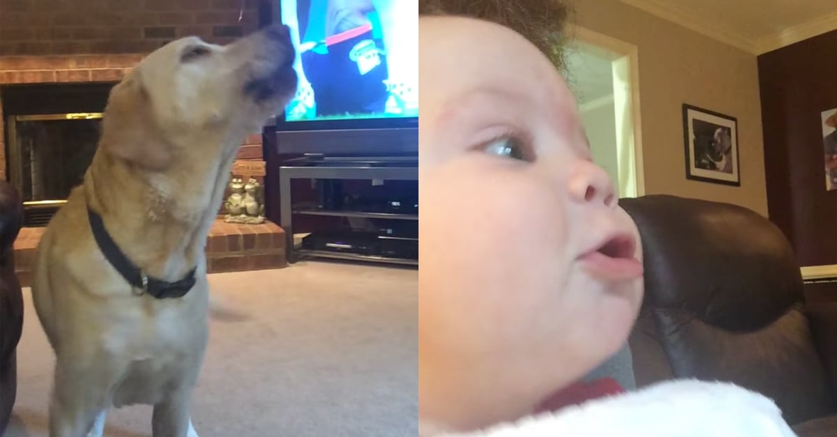 Funny Baby and Dog Howling Video | PS Family